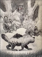 Dire Badger | Tales of Kaimere Wiki | Fandom