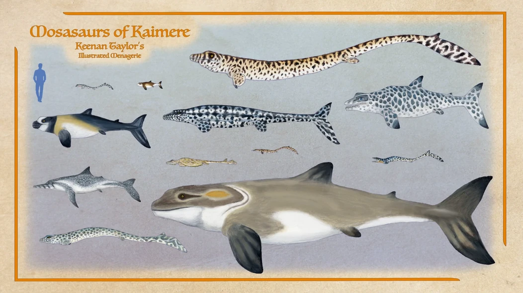 Mosasaurs of Kaimere | Tales of Kaimere Wiki | Fandom