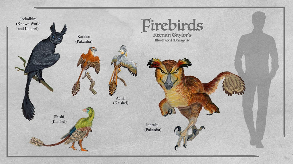 Firebirds | Tales of Kaimere Wiki | Fandom
