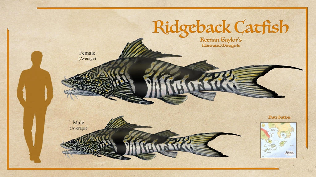Ridgeback Catfish | Tales of Kaimere Wiki | Fandom