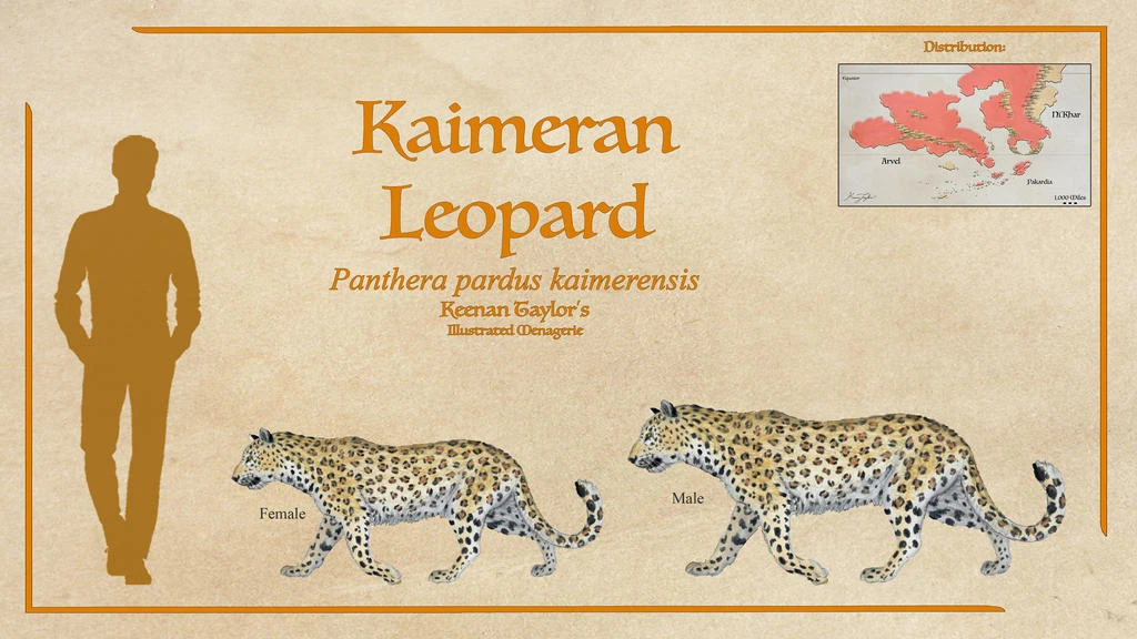 Kaimeran Leopards | Tales of Kaimere Wiki | Fandom