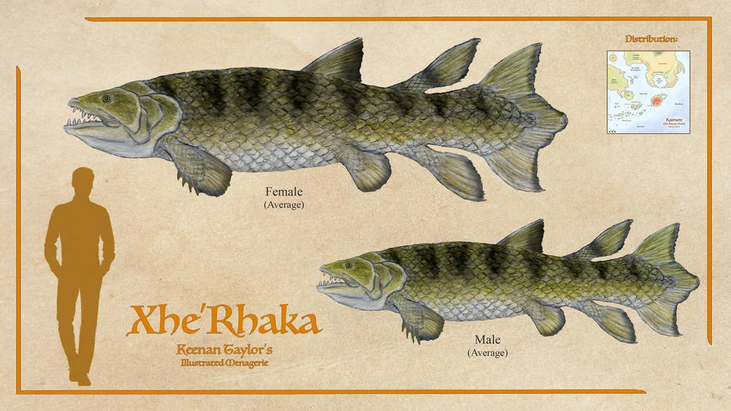 Xhe'Rhaka | Tales of Kaimere Wiki | Fandom