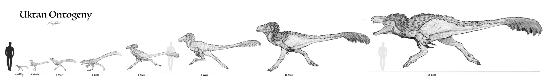 Uktan | Tales of Kaimere Wiki | Fandom