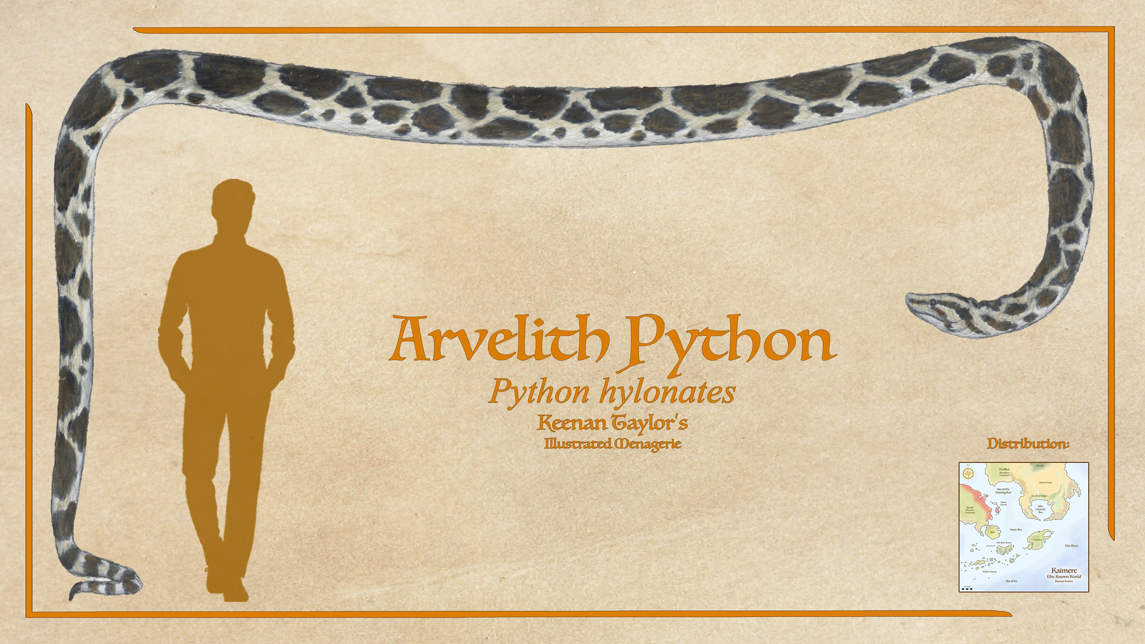 Arvelith Python | Tales of Kaimere Wiki | Fandom