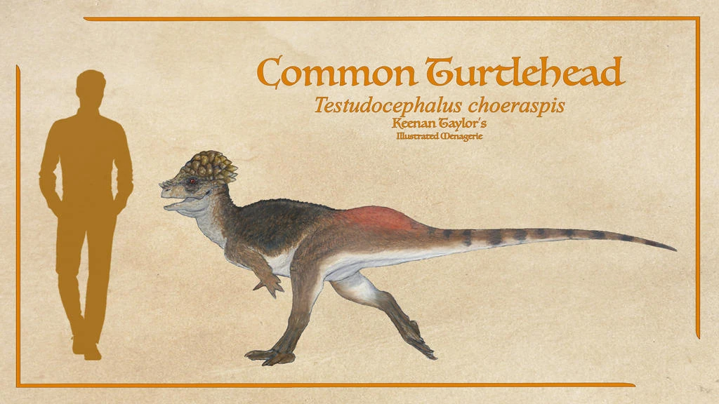 Common Turtlehead | Tales of Kaimere Wiki | Fandom