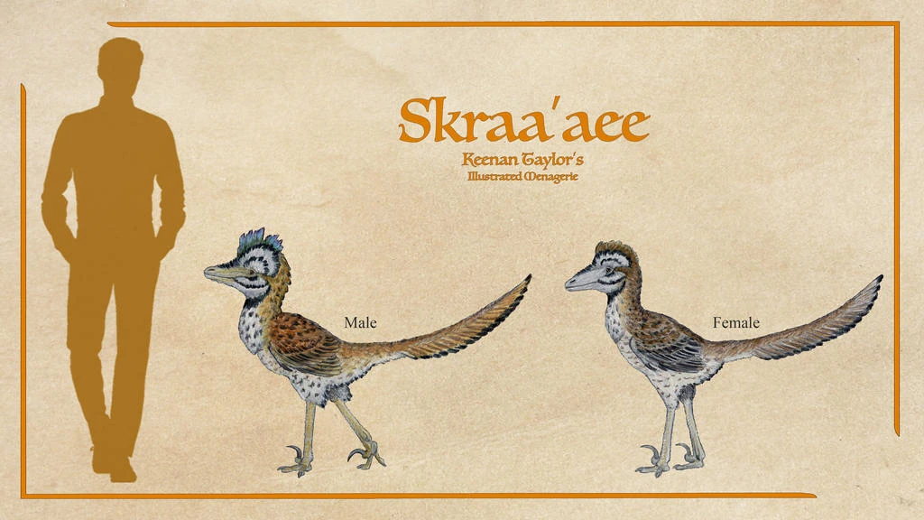 Skraa'aee | Tales of Kaimere Wiki | Fandom
