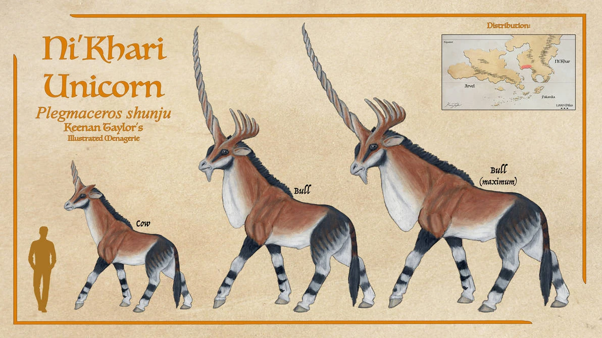 Kaimeran Unicorn | Tales of Kaimere Wiki | Fandom