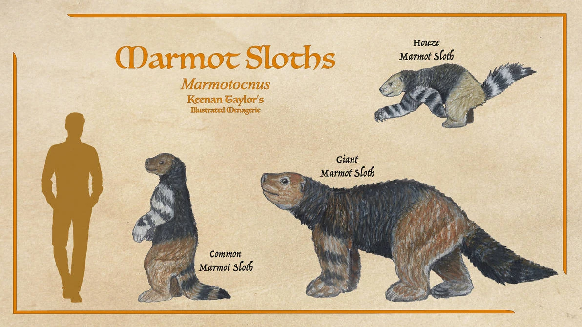 Giant Marmot Sloth | Tales of Kaimere Wiki | Fandom