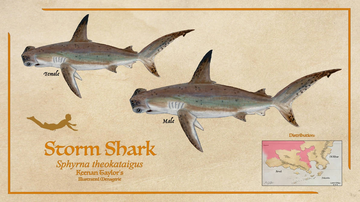 Storm Shark | Tales of Kaimere Wiki | Fandom