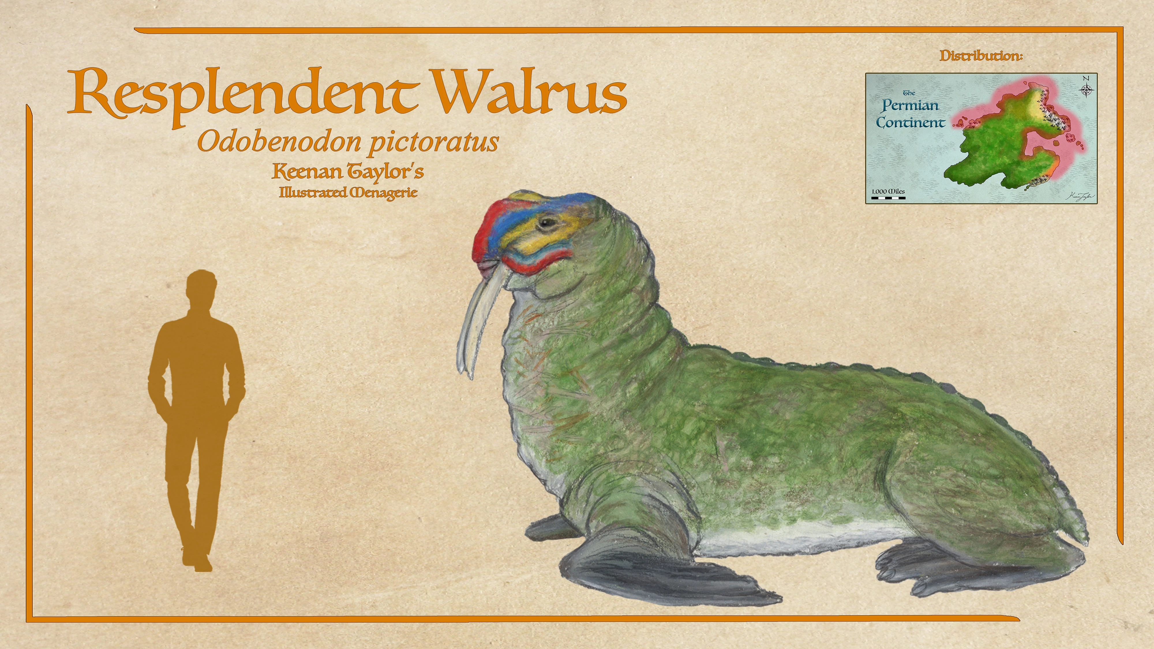 Resplendant Walrus | Tales of Kaimere Wiki | Fandom