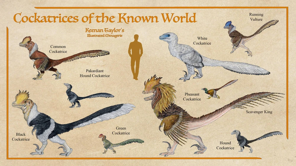 Cockatrice | Tales of Kaimere Wiki | Fandom