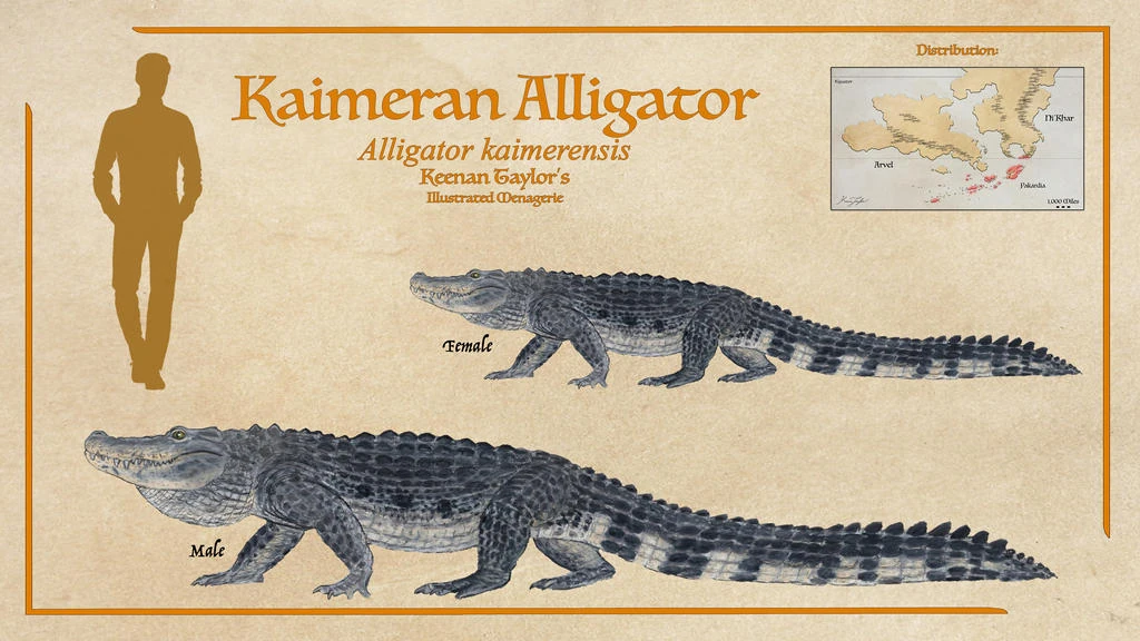 Crocodiles Vs Alligators Size