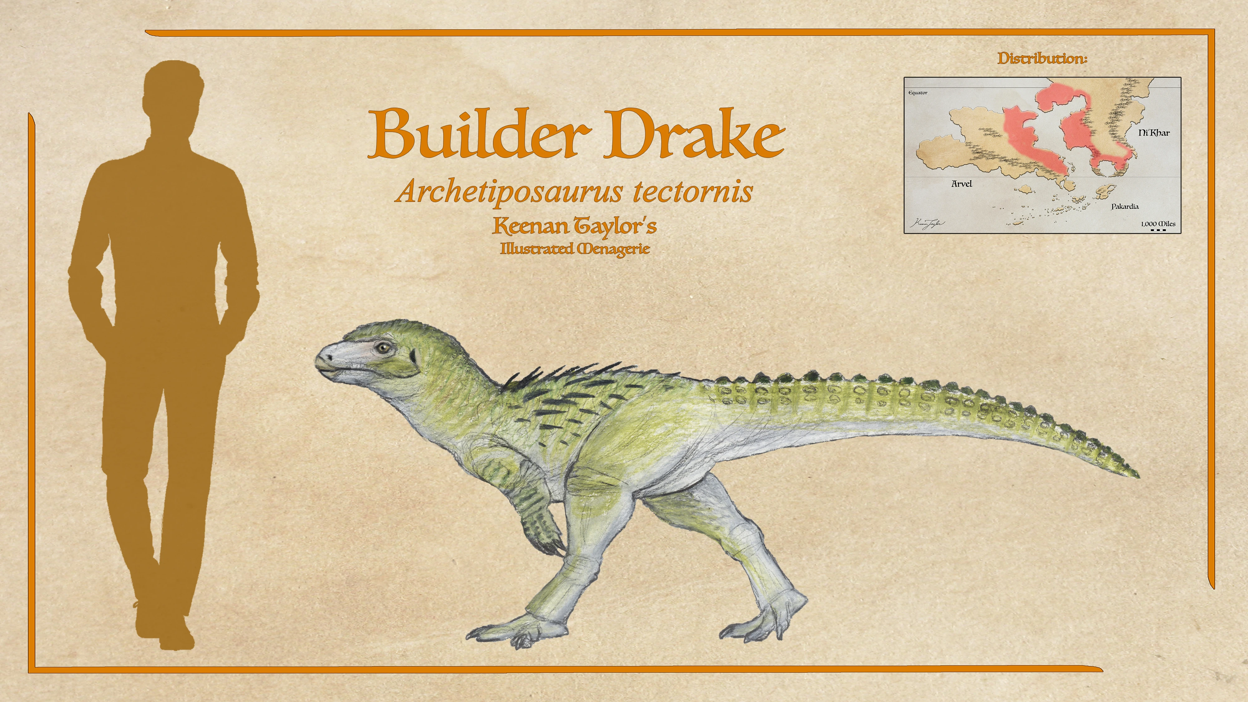 Builder Drake | Tales of Kaimere Wiki | Fandom
