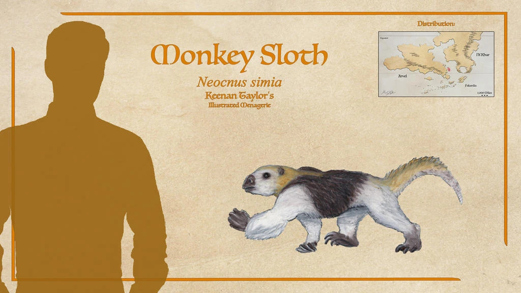 Monkey Sloth | Tales of Kaimere Wiki | Fandom