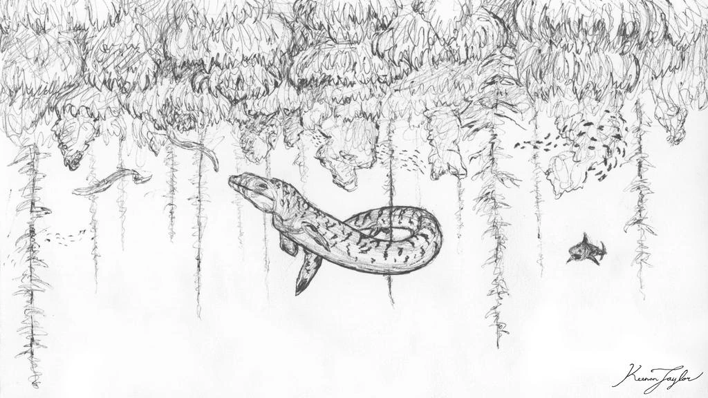 Floating Reefs | Tales of Kaimere Wiki | Fandom