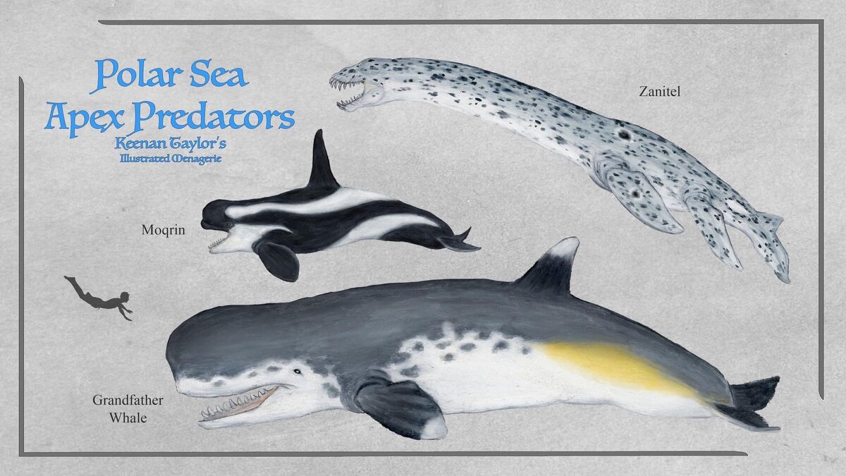 Grandfather Whale Tales Of Kaimere Wiki Fandom