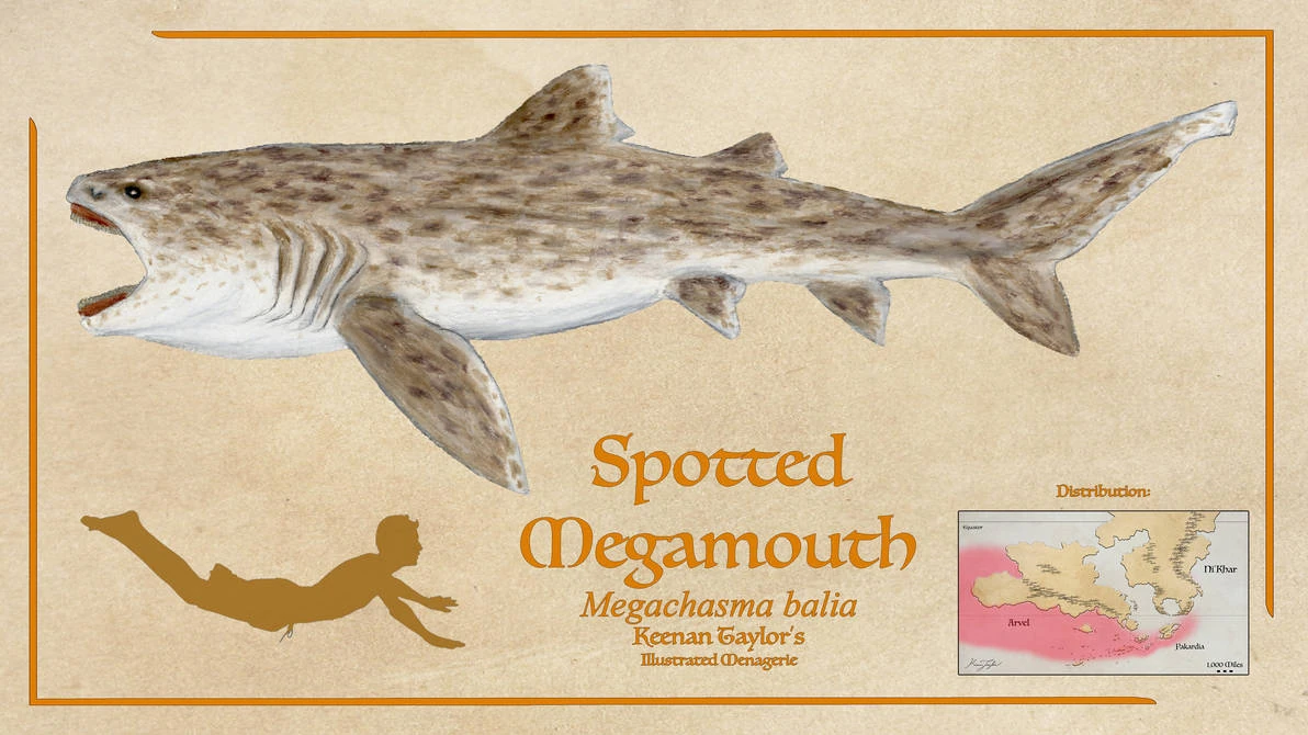 Spotted Megamouth | Tales of Kaimere Wiki | Fandom