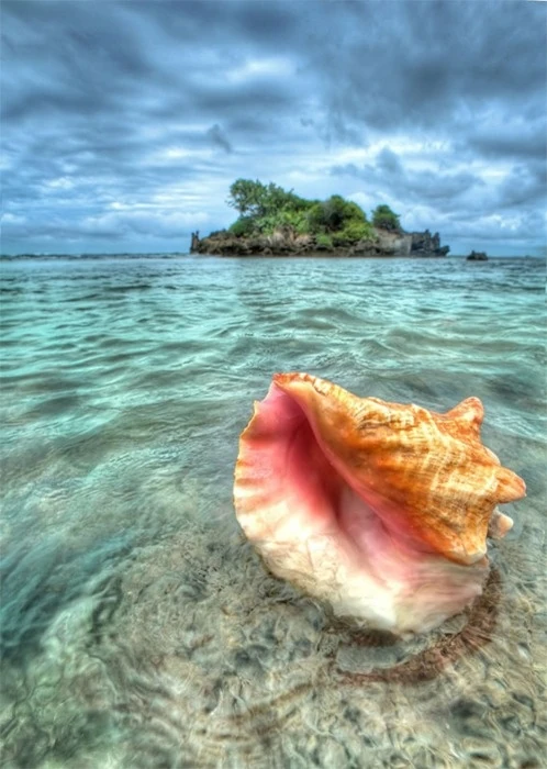 Conch Bay | Tales of the Hero Wars Wiki | Fandom