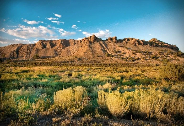 24th Hunger Games | The Hunger Games Archives Wiki | Fandom