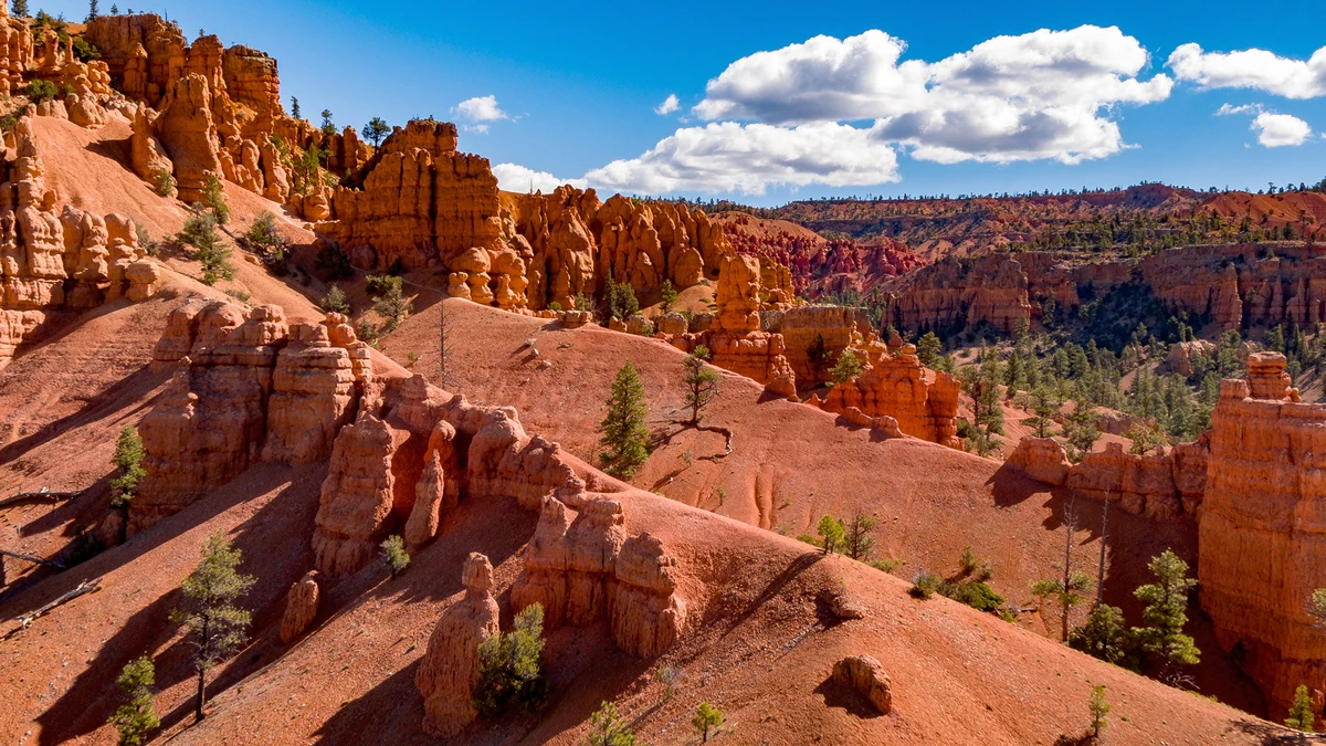 67th Hunger Games | The Hunger Games Archives Wiki | Fandom