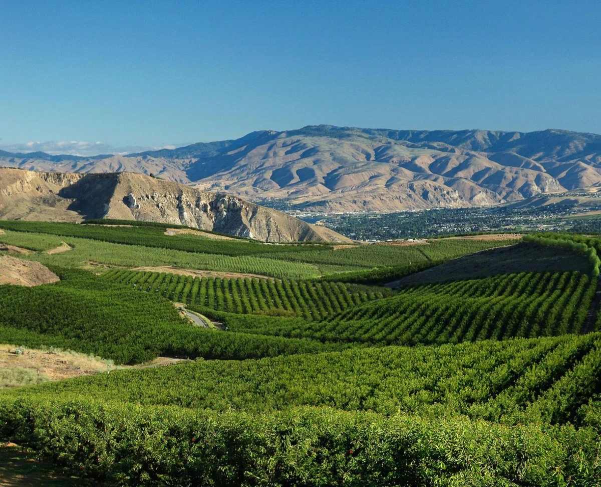 93rd Hunger Games | The Hunger Games Archives Wiki | Fandom