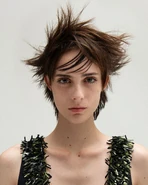 Category:Victors | The Hunger Games Archives Wiki | Fandom