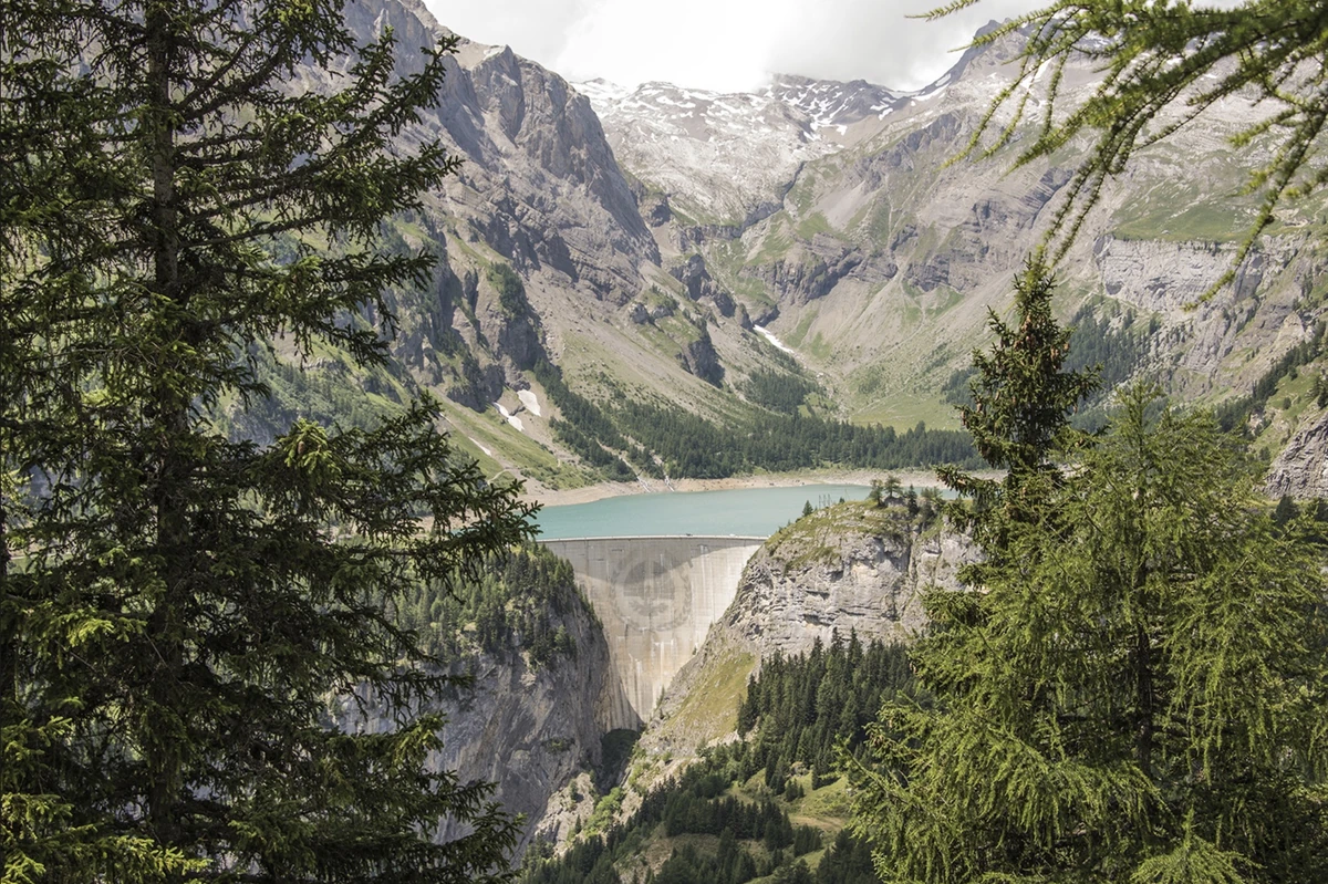 70th Hunger Games | The Hunger Games Archives Wiki | Fandom