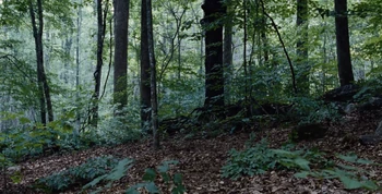 74th Hunger Games | The Hunger Games Archives Wiki | Fandom