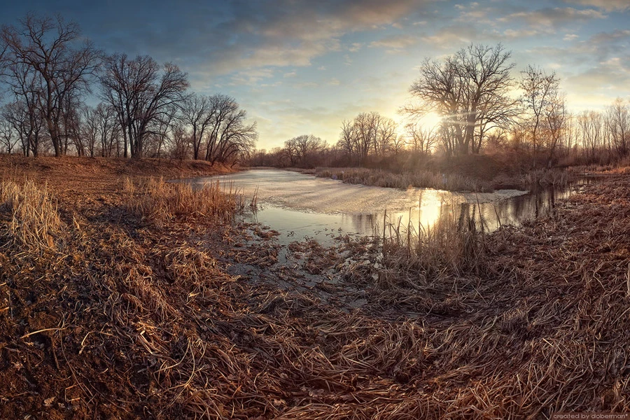 86th Hunger Games | The Hunger Games Archives Wiki | Fandom