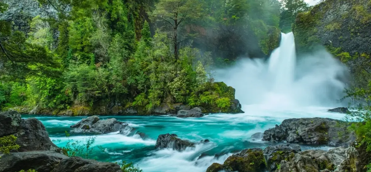 87th Hunger Games | The Hunger Games Archives Wiki | Fandom