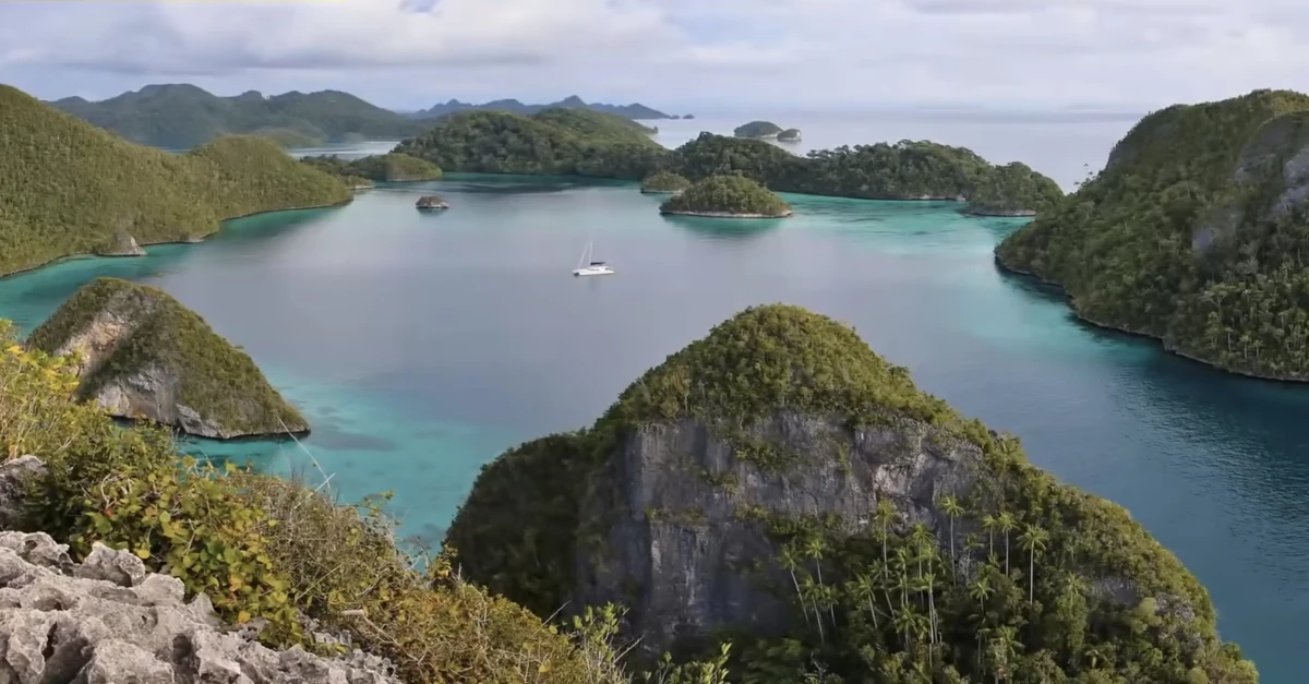 19th Hunger Games | Tales of the Hunger Games Wiki | Fandom