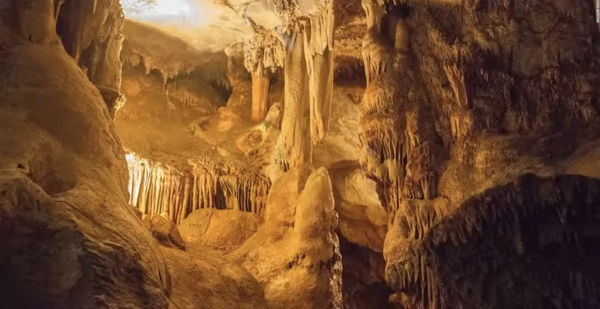 24th Hunger Games | Tales of the Hunger Games Wiki | Fandom