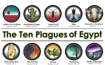 25th Hunger Games | Tales of the Hunger Games Wiki | Fandom