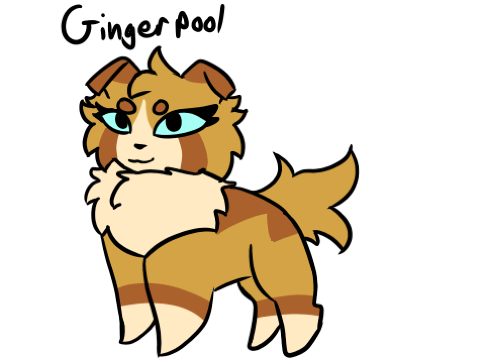 Gingerpool | Perfectheart Wiki | Fandom