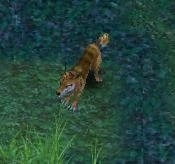 Wolf | Tales Of Pirates Wiki | Fandom