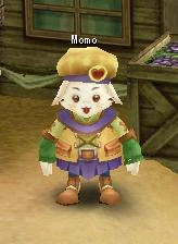 Momo | Tales Of Pirates Wiki | Fandom