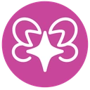 Fairy Type | Tales Of Tanorio Wiki | Fandom