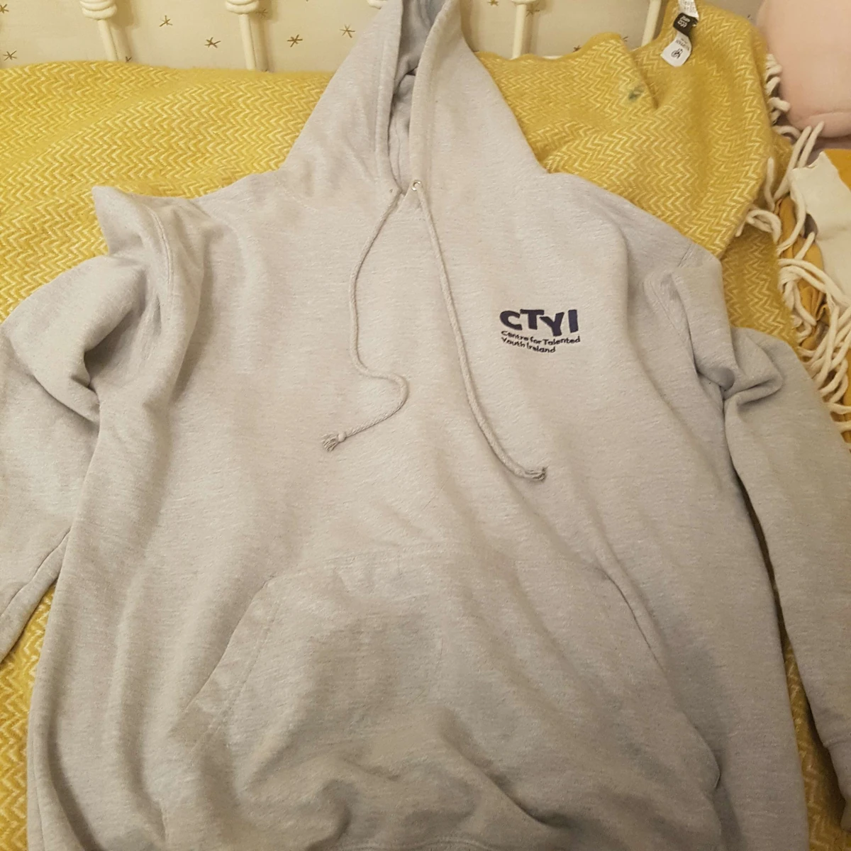 Hoodies | Tales Of The Quad - All Things CTYI Wiki | Fandom