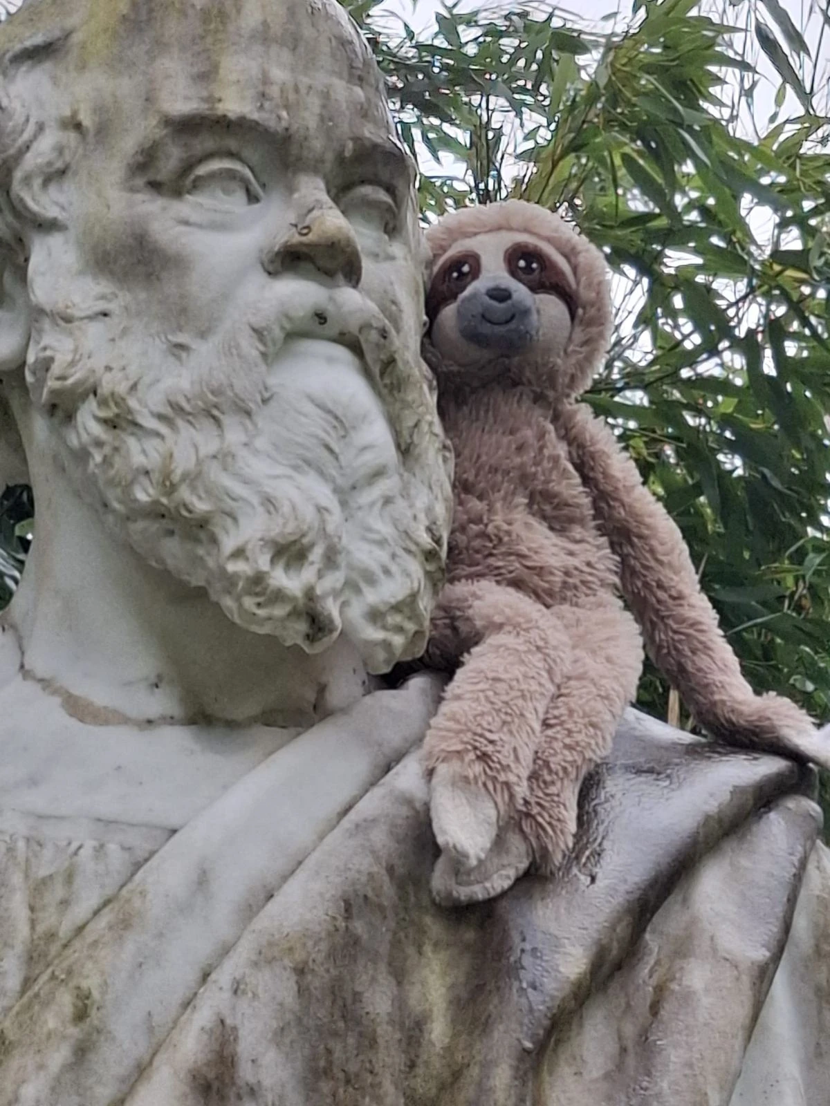 Jerry | Tales Of The Quad - All Things CTYI Wiki | Fandom