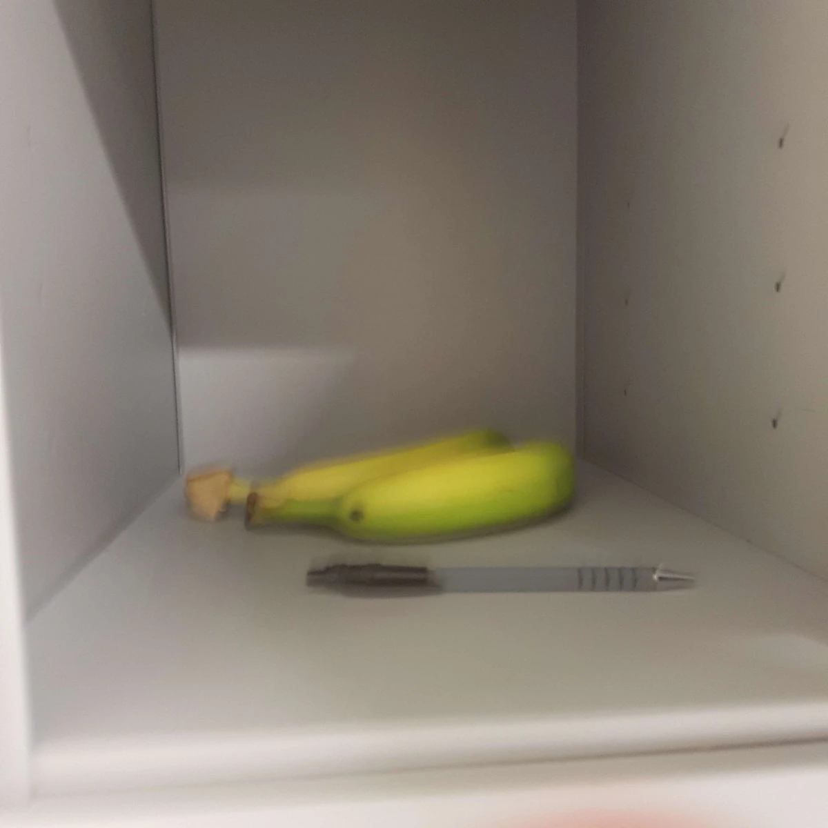 The Fruit Locker | Tales Of The Quad - All Things CTYI Wiki | Fandom