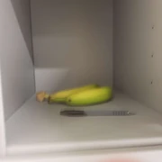 The Fruit Locker | Tales Of The Quad - All Things CTYI Wiki | Fandom