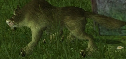 Elite Wolf King | Talisman Online Wiki | Fandom