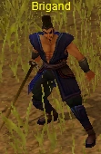 Brigand | Talisman Online Wiki | Fandom