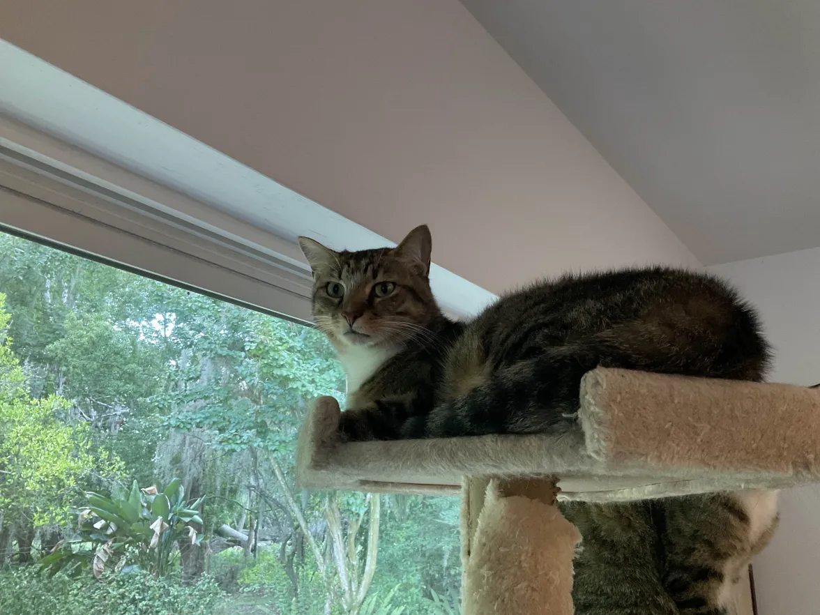 AAxcenity's Pussy | Talk Tuah Extended Server Wiki | Fandom