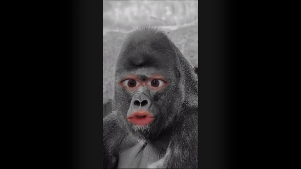 Jose's Father | Talking Ben Outfit7 Wiki | Fandom