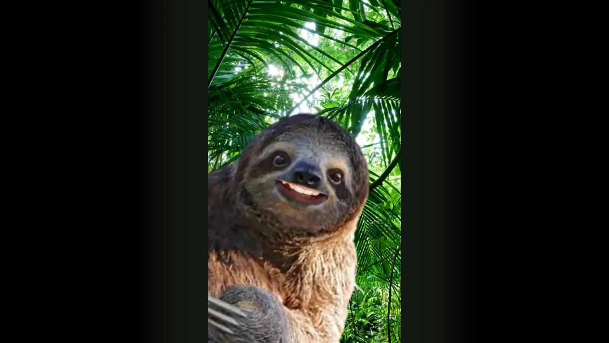 Mr. Sloth | Talking Ben Outfit7 Wiki | Fandom