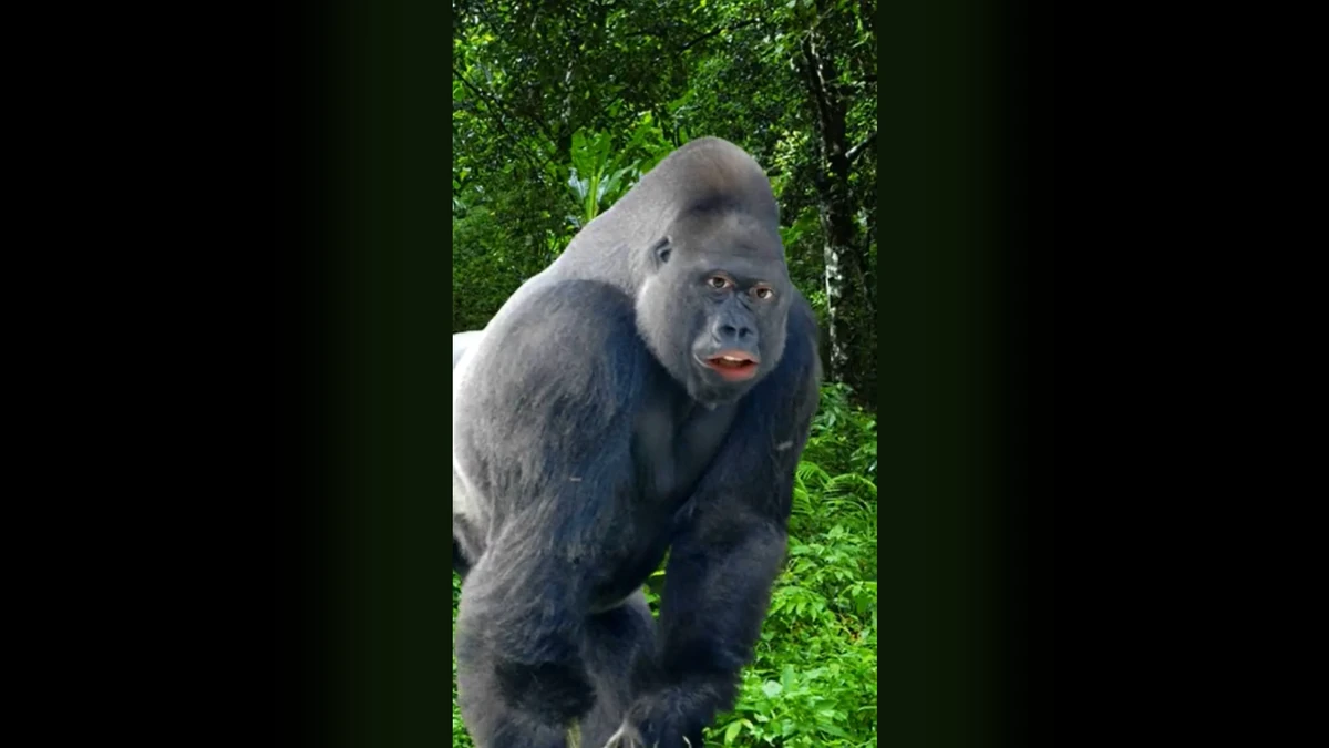 Jose The Gorilla | Talking Ben Outfit7 Wiki | Fandom
