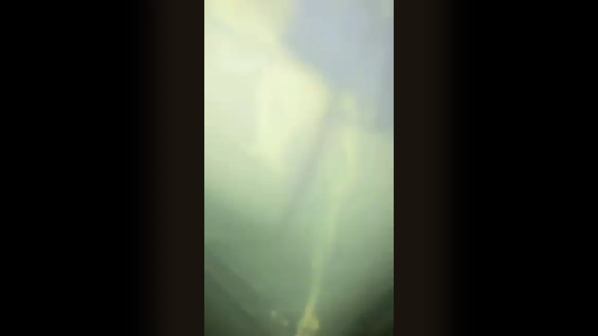 The Purple Bear | Talking Ben Outfit7 Wiki | Fandom