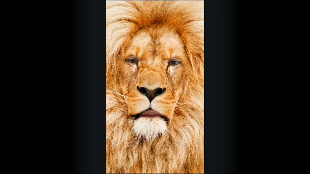 William (lion) | Talking Ben Outfit7 Wiki | Fandom