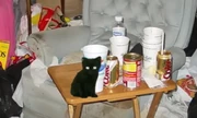 Sylvester | Talking Kitty Cat Wikia | Fandom